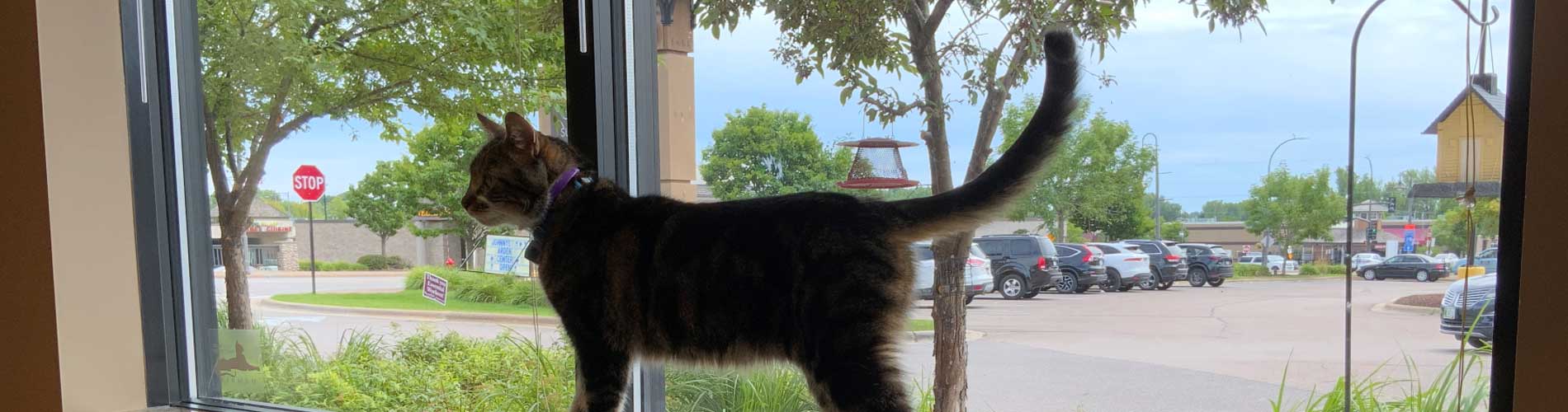 Contact Lake Minnetonka Pet Wellness Center in MN